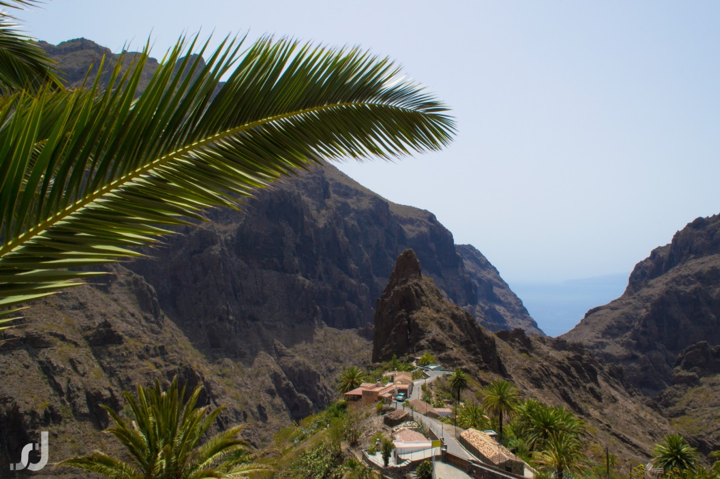 Survey - Think Tree Hub : Think Tree Hub