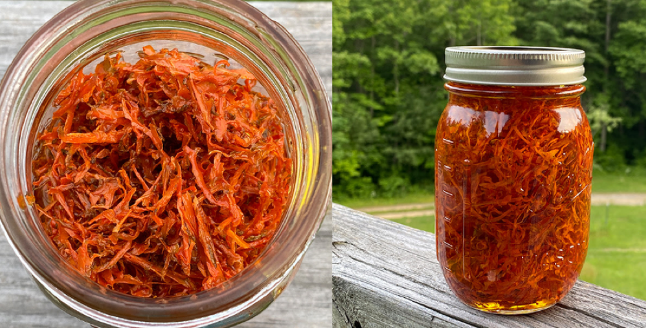 Skincare - Think Tree Hub : Think Tree Hub