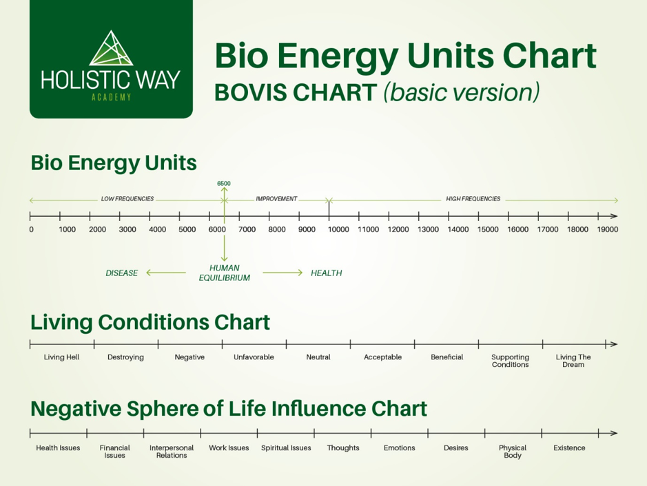 Bioenergy Therapy from Eastern Europe - Think Tree Hub : Think Tree Hub