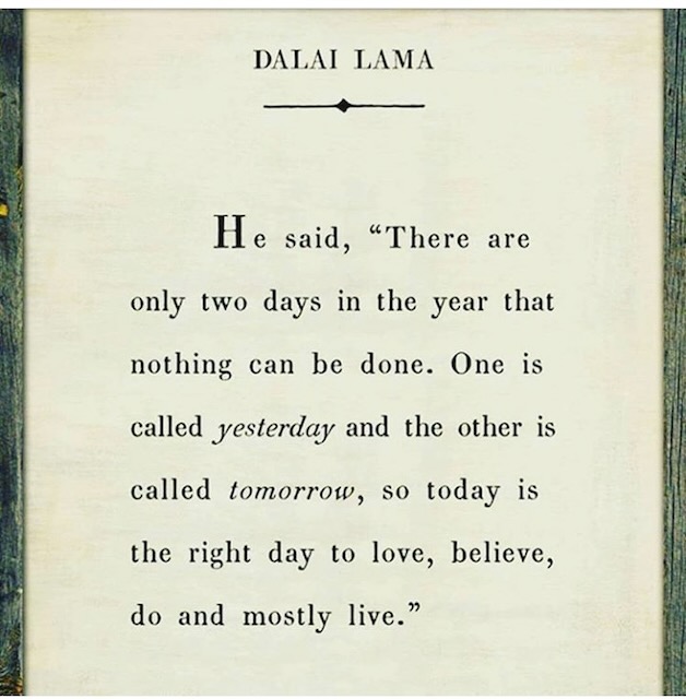 ThinkTree Thought - Think Tree Hub : Think Tree Hub