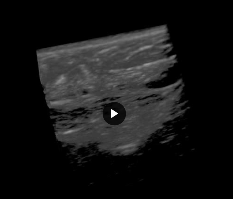 Anatomy Passions - Think Tree Hub : Think Tree Hub